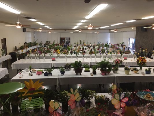 RIVERSIDE FLOWER SHOW - Updated January 2026 - 31 Photos - 6166 ...