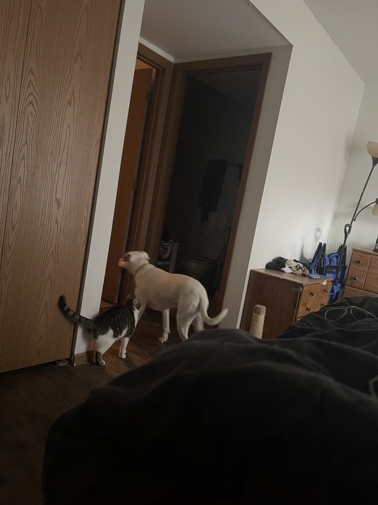 HUMANE SOCIETY OF SUMMIT COUNTY - Updated July 2025 - 23 Photos & 20 ...