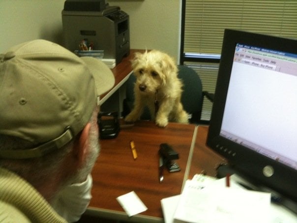 ZELINSKY DAVID CPA - Updated July 2025 - 415 Placerville Dr ...