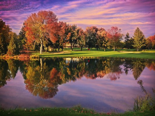 ELM RIDGE COUNTRY CLUB - Updated November 2025 - 14 Photos - 851 Rue ...