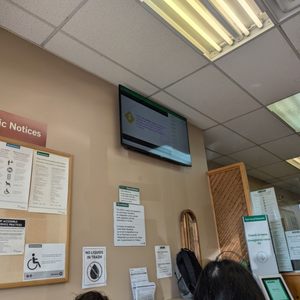 BLS INTERNATIONAL SERVICES CANADA - Updated December 2025 - 15 Reviews ...