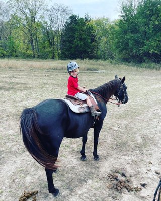 WILD ROSE EQUINE CENTER - Updated July 2024 - 47 Photos & 18 Reviews ...