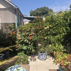 ECO ADVANTAGE PEST CONTROL - Updated January 2026 - 65 Reviews - Arroyo ...