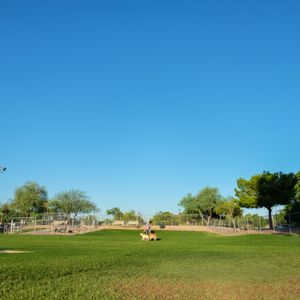 COSMO DOG PARK - Updated January 2026 - 115 Photos & 88 Reviews - 2502 ...