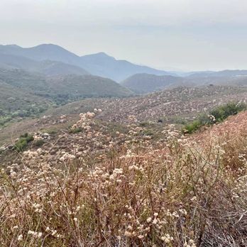 DESERT VIEW TOWER - Updated May 2025 - 459 Photos & 89 Reviews - Old ...