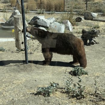 ANIMAL ARK - Updated October 2025 - 514 Photos & 161 Reviews - 1265 ...