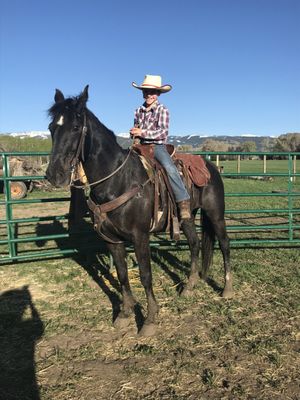 DRY RIDGE OUTFITTERS AT HARRIMAN STATE PARK - Updated December 2025 ...