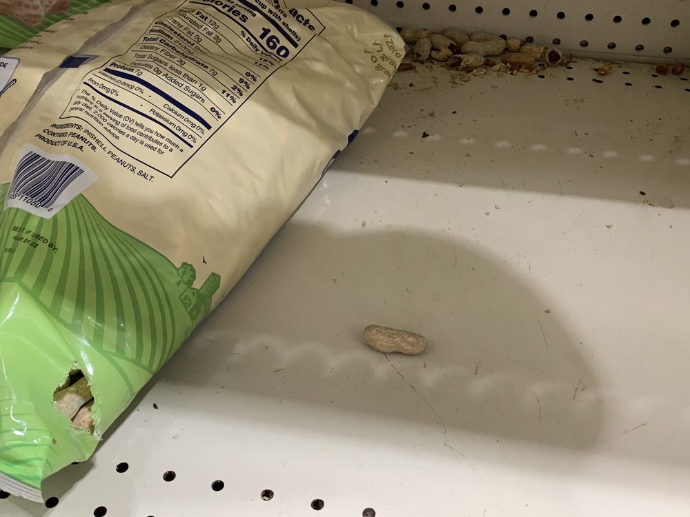 MENARDS - Updated July 2025 - 39 Photos & 44 Reviews - 4850 Route 14 ...