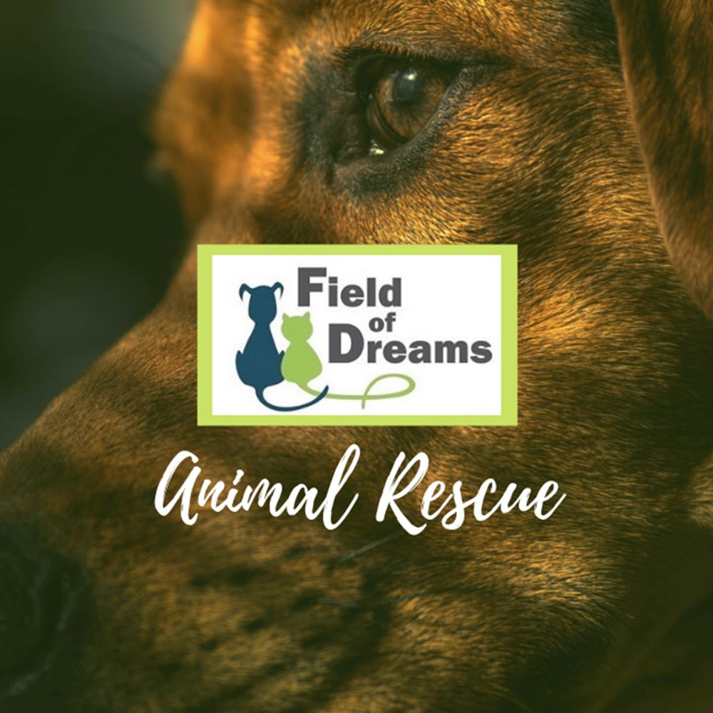 FIELD OF DREAMS RESCUE - Updated May 2025 - Request Information ...