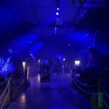 DINOS ALIVE - Updated December 2025 - 39 Photos & 13 Reviews - 31 15th ...