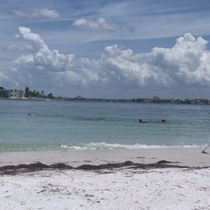 SHELL KEY SHUTTLE - 80 Photos & 36 Reviews - 801 Pass A Grille Way, St ...