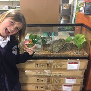 LLLREPTILE & SUPPLY - 216 Photos & 287 Reviews - Reptile Shops - 700 ...