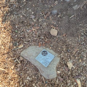 JAKOB TWO TREES - Updated December 2025 - 64 Photos & 13 Reviews - 301 ...