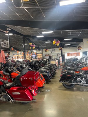 PERFORMANCE HARLEY-DAVIDSON - Updated December 2024 - 12 Photos & 22 ...