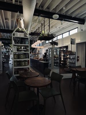SHYNDIGZ - Updated March 2025 - 1144 Photos & 913 Reviews - 1912 W Cary ...
