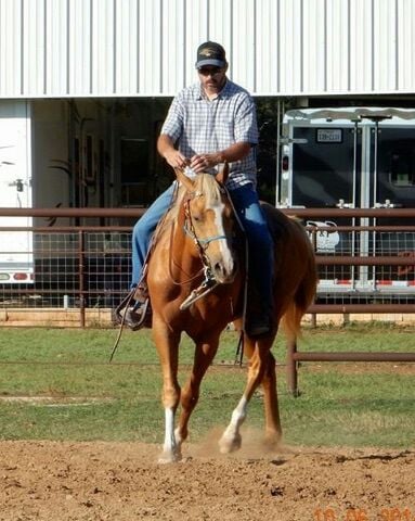 FLYING H RANCH STABLES - Updated October 2025 - 4013 Fm 1123, Belton ...