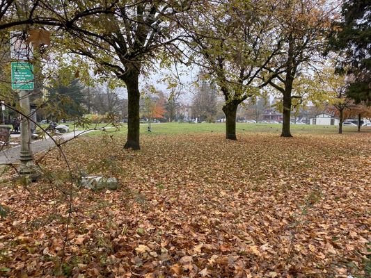 VICTORIA PARK - Updated October 2025 - 1425 Victoria Dr, Vancouver ...