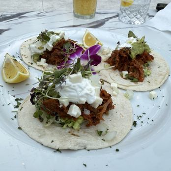 SOLA - Updated January 2026 - 637 Photos & 240 Reviews - 1000 Collins ...