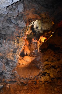 STARK CAVERNS - 95 Photos & 65 Reviews - 125 Cave Dr, Eldon, Missouri ...