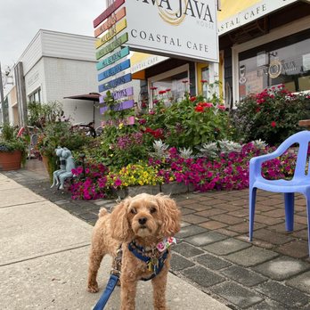 LAVA JAVA - Updated June 2024 - 137 Photos & 240 Reviews - 500 Grand ...