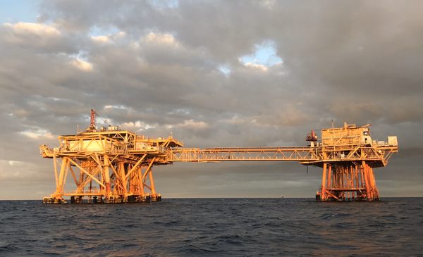 TAILS UP OFFSHORE FISHING CHARTERS - Updated July 2025 - 44 Photos ...