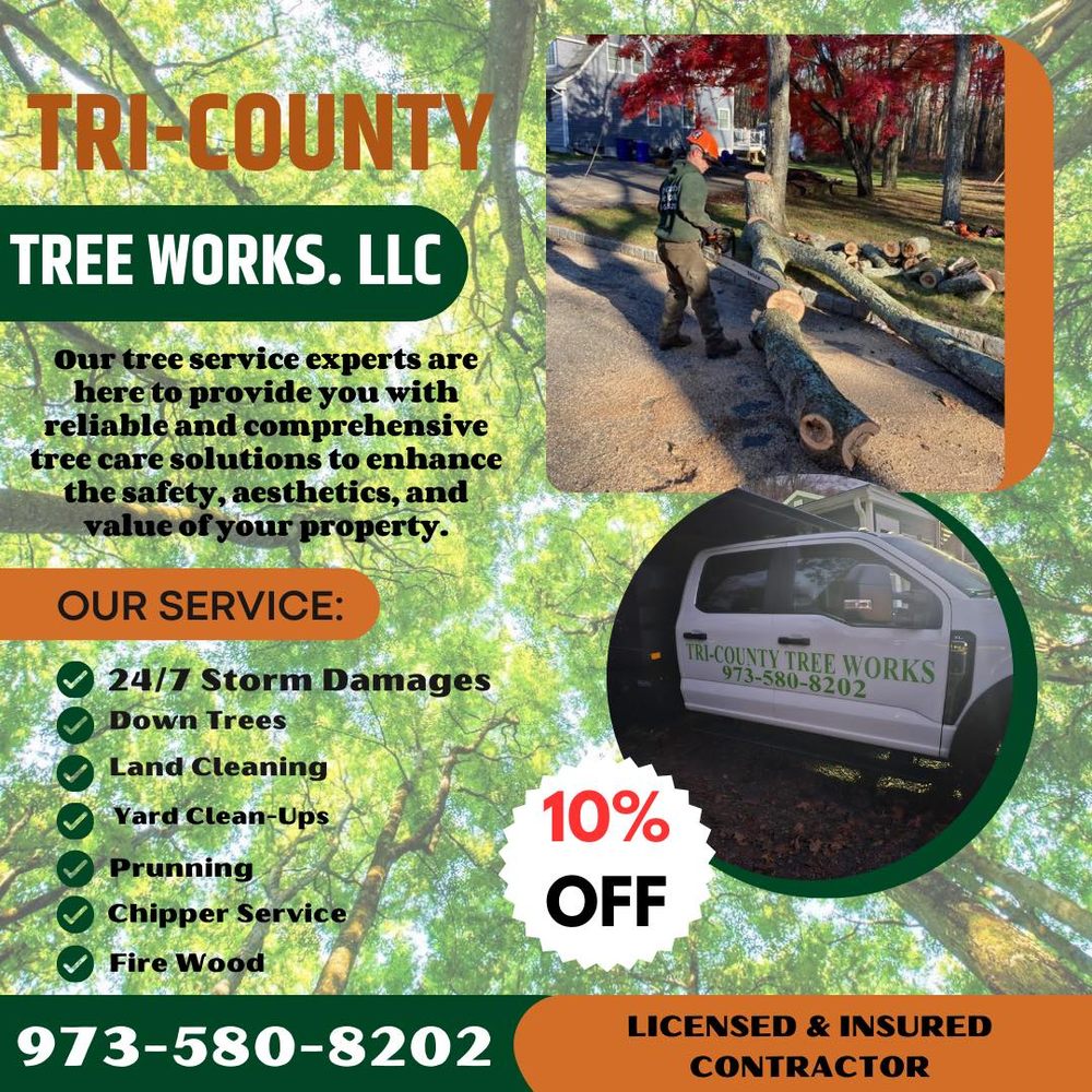 TRI COUNTY TREE WORKS - Updated July 2025 - Request a Quote - 21 Photos ...