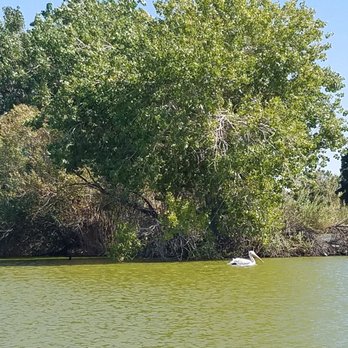 HESPERIA LAKE PARK & CAMPGROUND - Updated July 2025 - 137 Photos & 70 ...