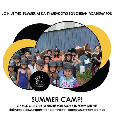 DAISY MEADOWS EQUESTRIAN - Updated January 2026 - 6095 Dickenson Rd E ...