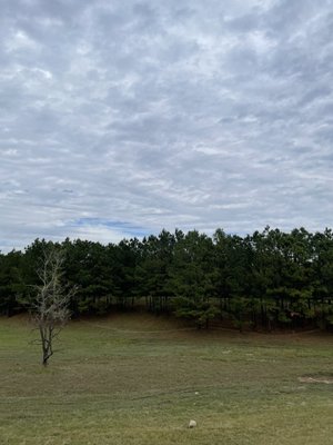 COLLINS PARK - Updated October 2025 - 46 Photos & 36 Reviews - 6727 ...