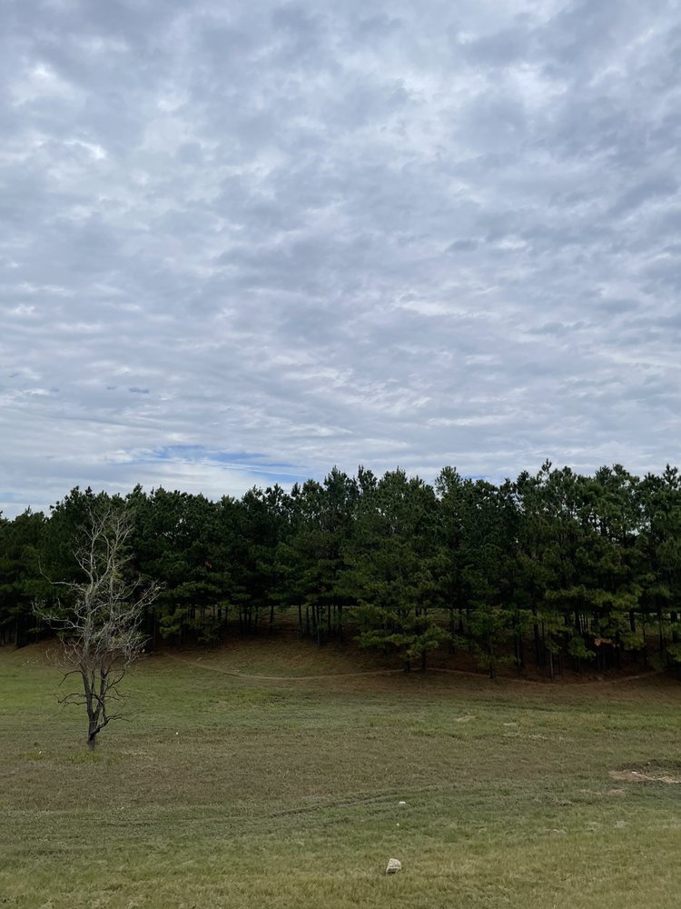 COLLINS PARK - Updated October 2025 - 46 Photos & 36 Reviews - 6727 ...