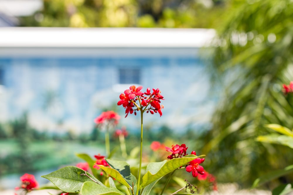 ROSE LANE VILLAS - Updated January 2026 - 49 Photos - 522 Rose Ln, Key ...