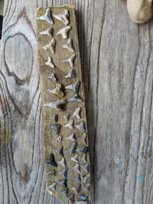 MUDSLINGER TOURS - Updated October 2025 - 40 Photos & 10 Reviews - 1414 ...