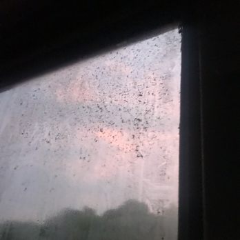 WANDA COACH - Updated June 2024 - 48 Photos & 147 Reviews - New York ...