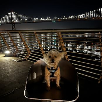 PIER 14 - Updated December 2025 - 426 Photos & 69 Reviews - The ...