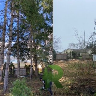 ROYAL TREE SERVICE - Updated July 2025 - 5211 Countryside St NE, Salem ...