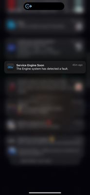 WOODBRIDGE FORD - Updated January 2026 - 25 Photos & 50 Reviews - 820 ...