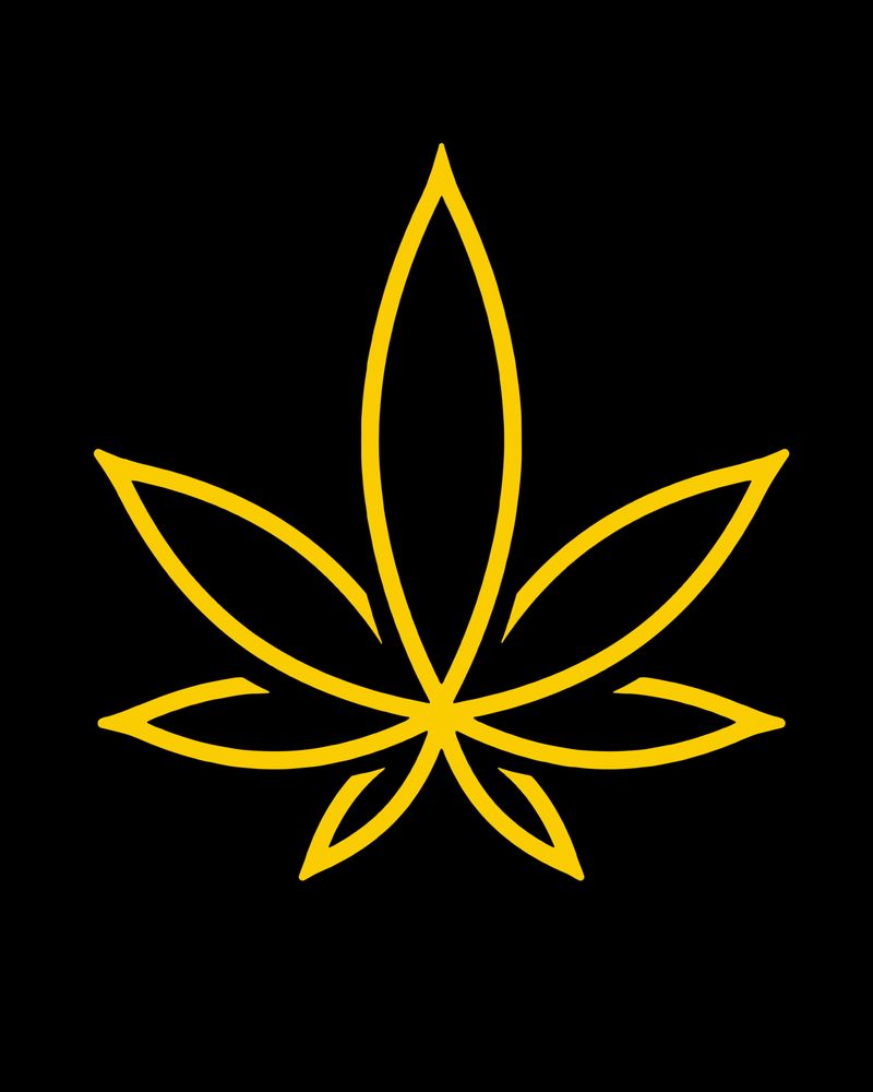 HIGH COUNTRY HEMP -BOONE- - Updated January 2026 - 118 Appalachian St ...