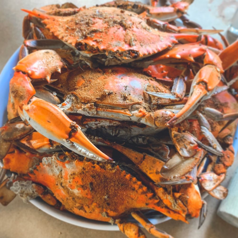 American (New) - WINTERS RUN INN - 31 Photos & 47 Reviews - 1907 ...