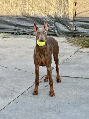 MICHAEL BUTCHKO, DVM - Updated December 2025 - 214 Photos & 541 Reviews ...