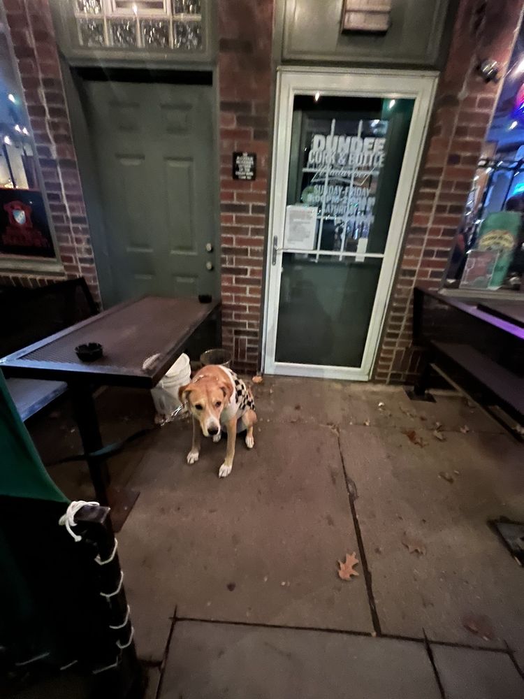 DUNDEE CORK AND BOTTLE - Updated January 2026 - 19 Photos & 66 Reviews ...