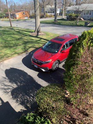 VIP HONDA - Updated December 2025 - 33 Photos & 112 Reviews - 700 US 22 ...