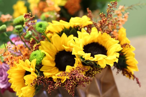 FLOWERAMA PITTSBURGH - Updated December 2025 - 13 Photos & 27 Reviews ...