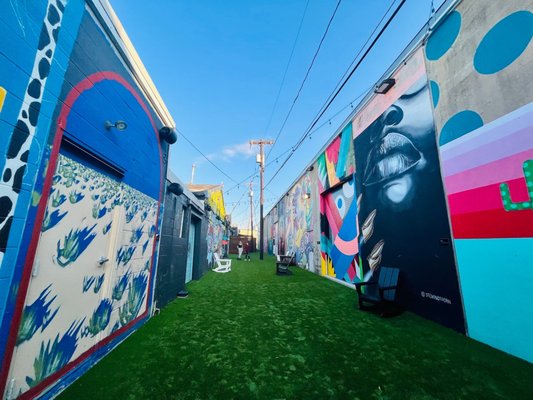 INSPIRATION ALLEY - 103 Photos - 2625 Whitmore St, Fort Worth, Texas ...