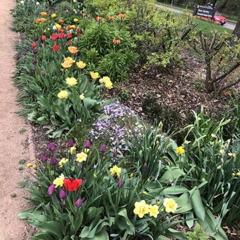 LYNDALE PARK ROSE GARDEN - Updated October 2025 - 184 Photos & 28 ...