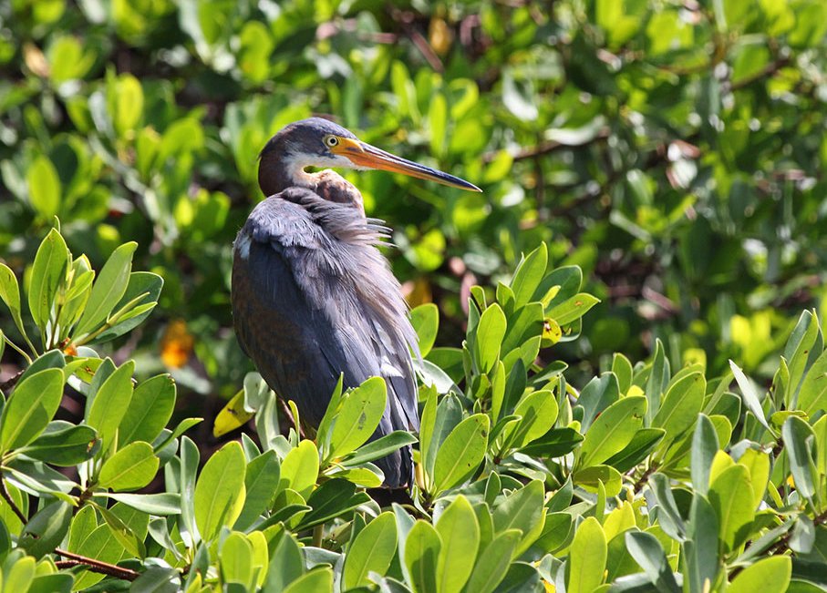 JUST ADD WATER AND SUN - Updated January 2025 - 55 Photos & 12 Reviews ...