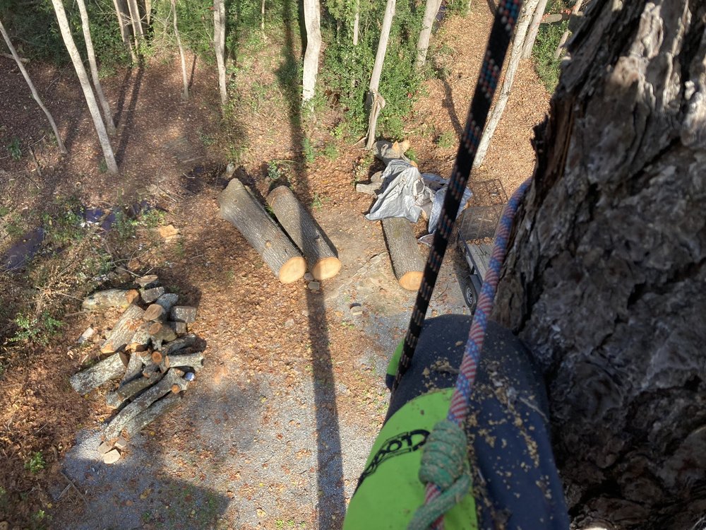 TACTICAL TREES - Updated July 2025 - 10 Photos - 713 Sun Rd, Aberdeen ...