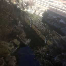 OCEAN ZEN - Updated October 2025 - 206 Photos & 145 Reviews - 4117 S ...