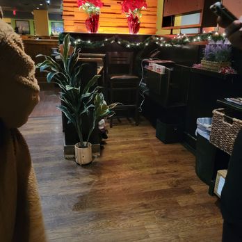 OUTBACK STEAKHOUSE - Updated October 2025 - 74 Photos & 225 Reviews ...