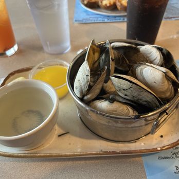 MIKE’S CLAM SHACK - Updated December 2025 - 254 Photos & 490 Reviews ...