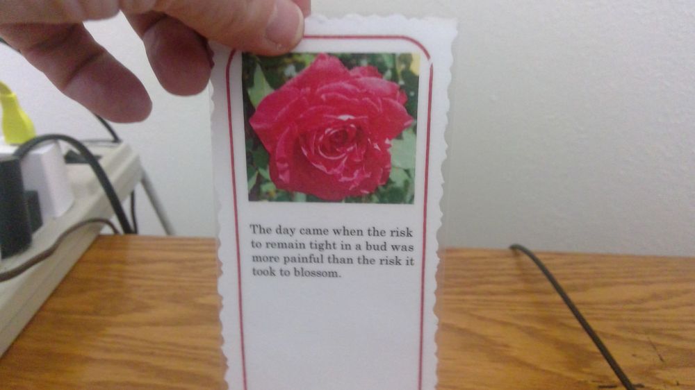 PACHELLO’S PRINTING - Updated December 2025 - 3856 W 73rd Ave ...